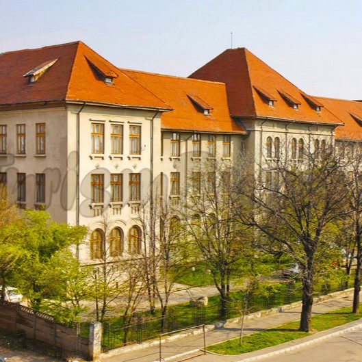 Discover Buzău: Nature’s Retreat in Romania